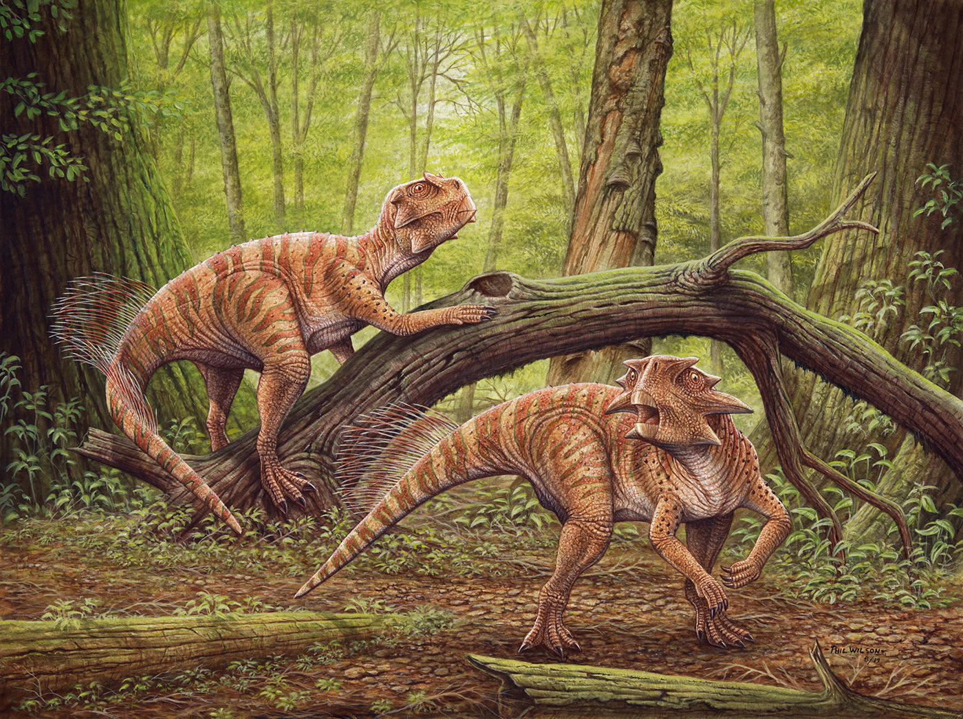 New Dinosaur Illustration by Phil Wilson – Cliff Knecht Artist ...